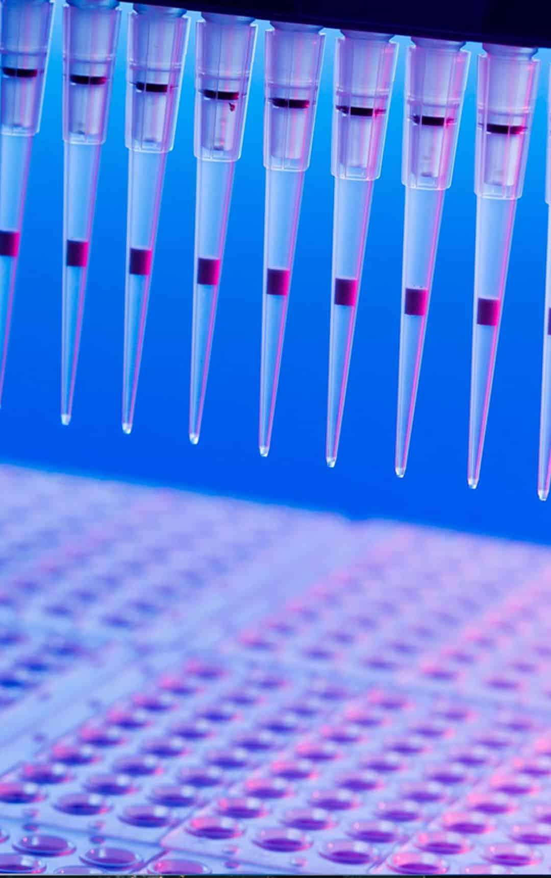 PCR: a question of taste - Centre For Life