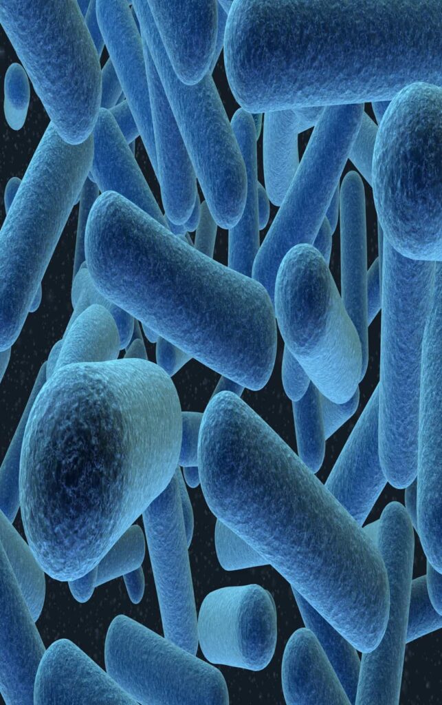 The evolution of bacterial cell shape. - Centre For Life